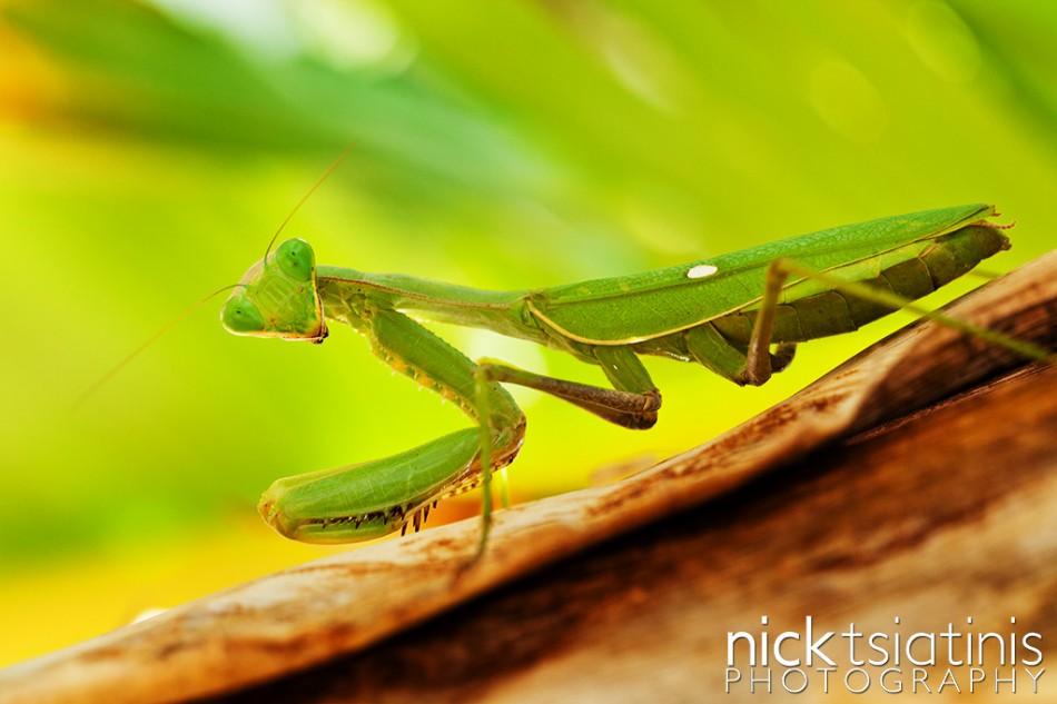 Landscape Photography in Pernera, Cyprus - A well deserved holiday ...
